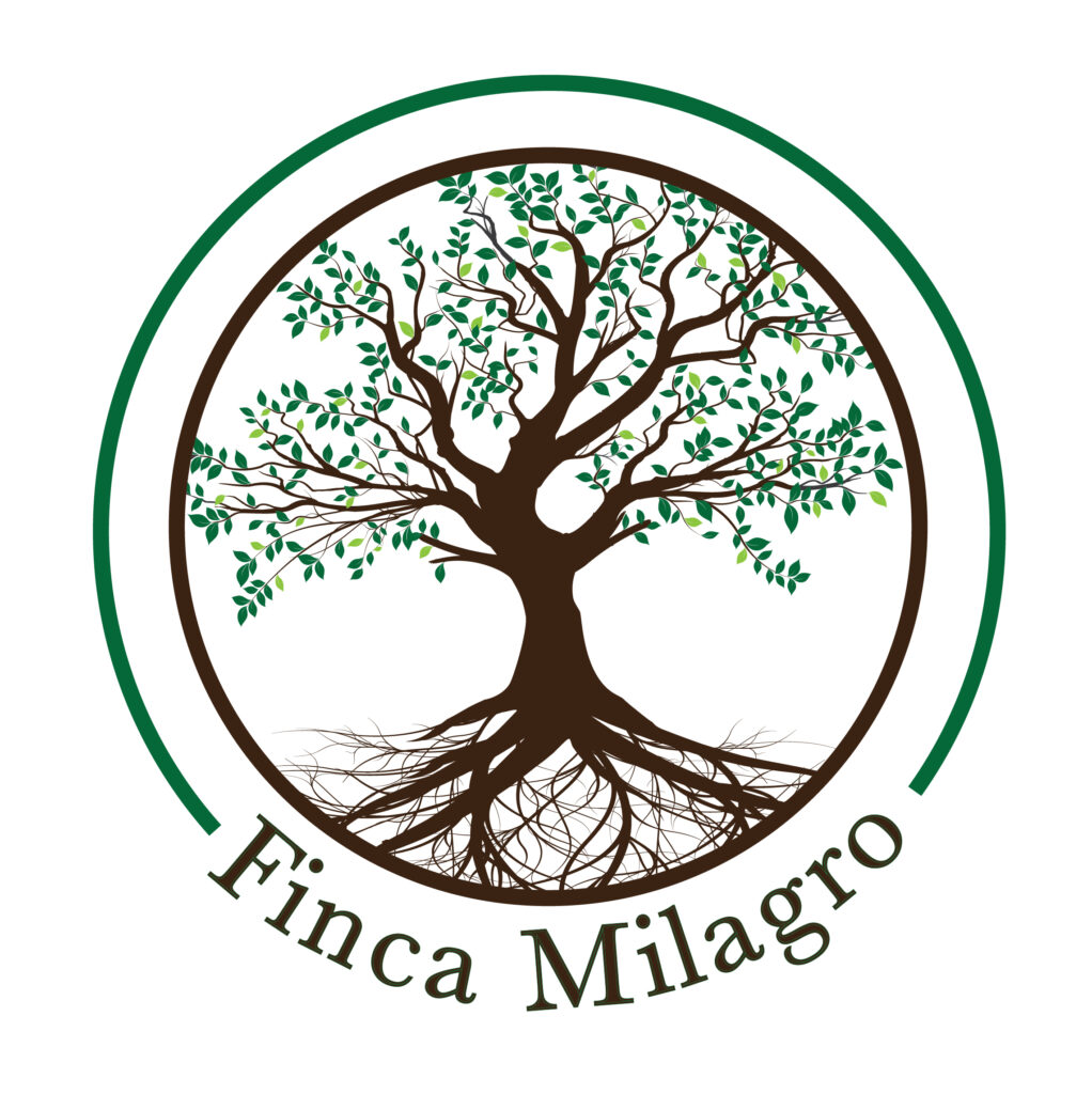 Honduras El Milagro – Reframe Coffee Roasters