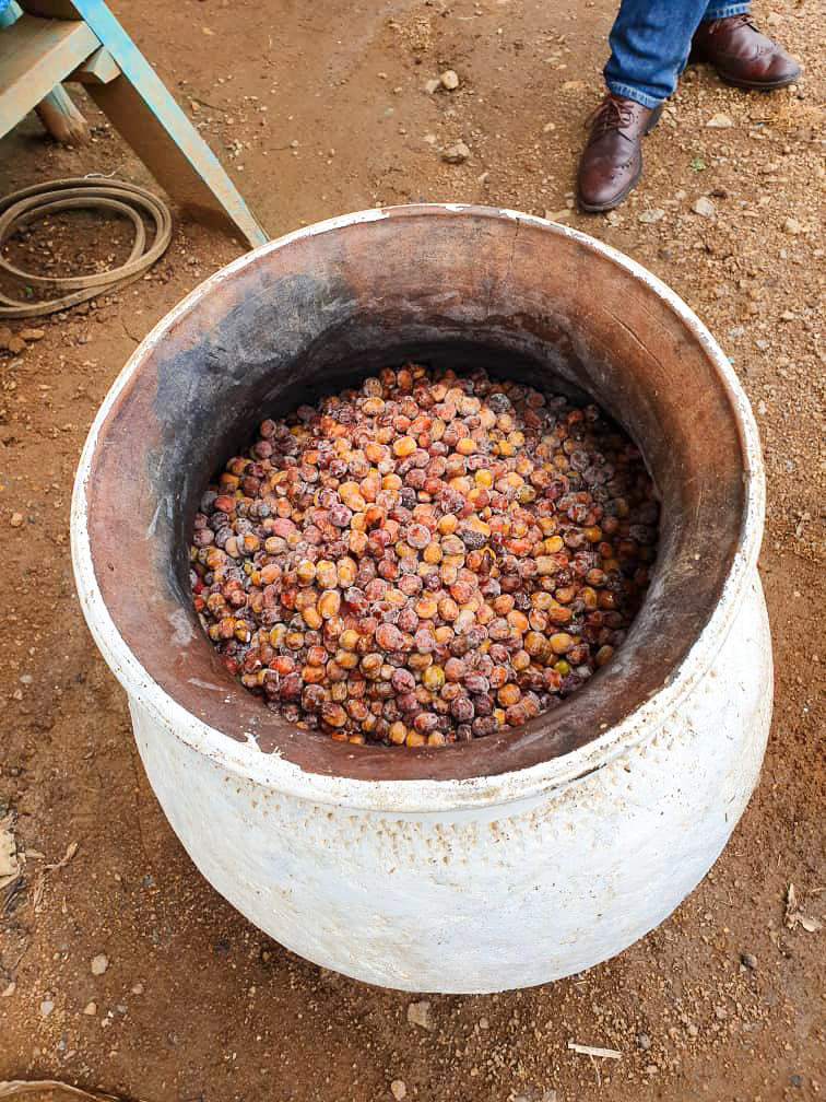 Rwanda Akagera Intango 60HR AN – Reframe Coffee Roasters