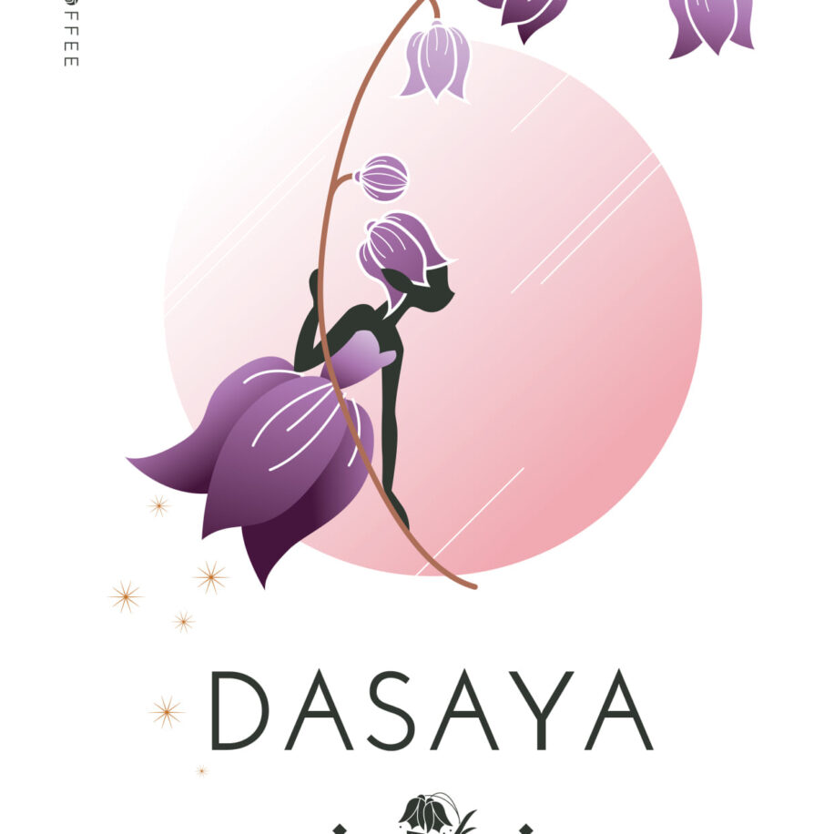 Ethiopian Guji Dasaya G1 – Reframe Coffee Roasters