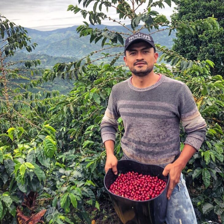 Colombia Los Nogales – Reframe Coffee Roasters