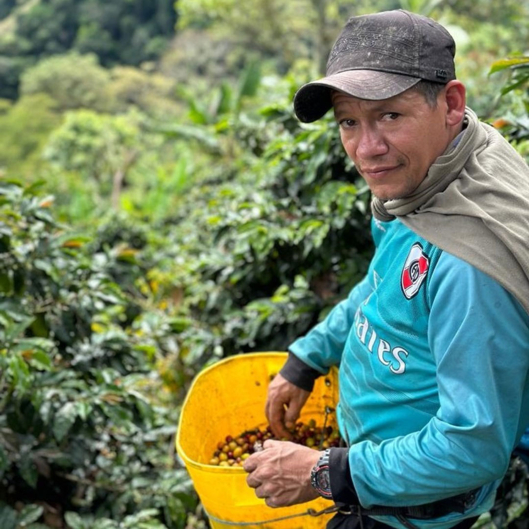 Colombia El Cedral – Reframe Coffee Roasters